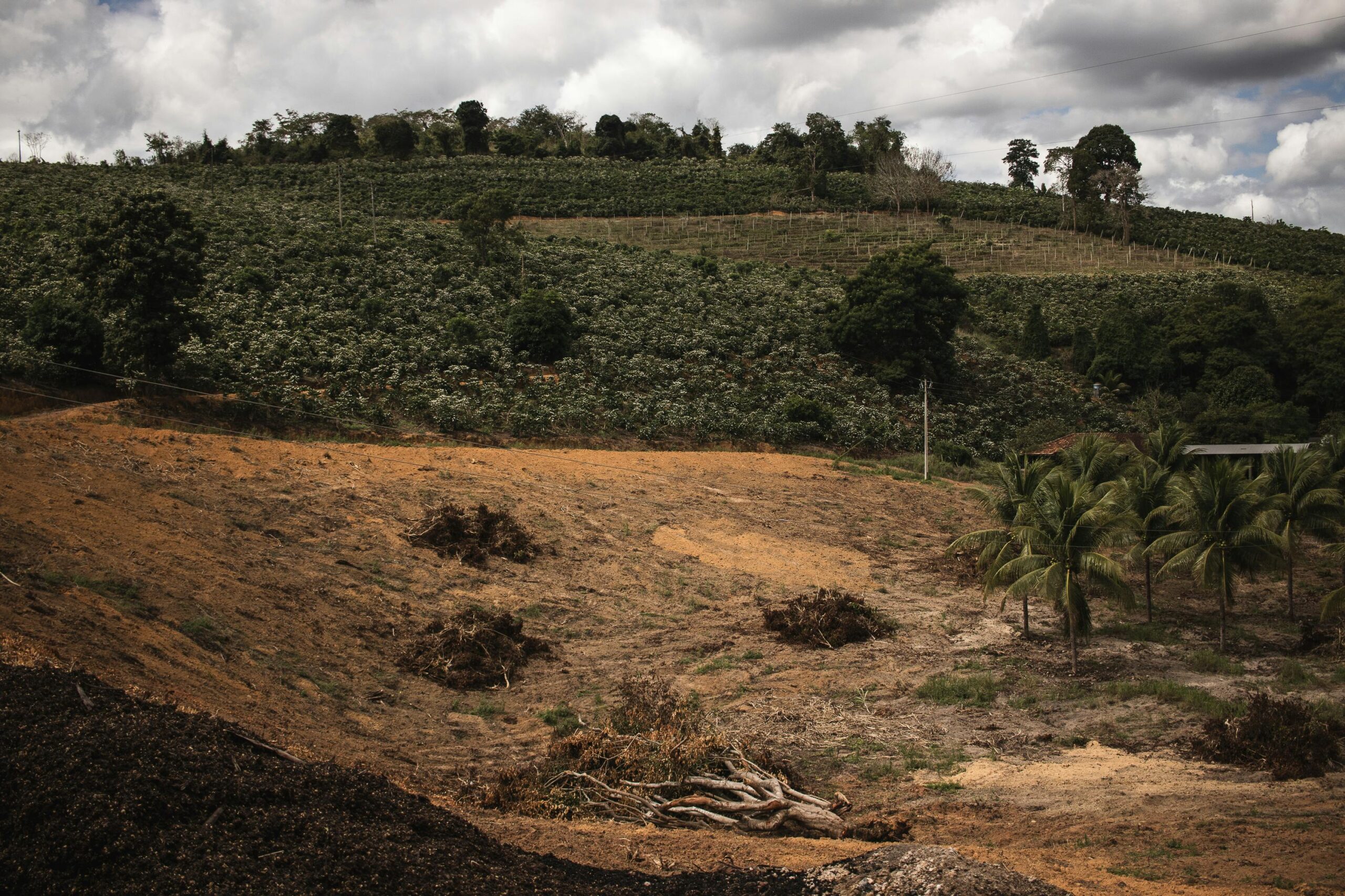 Restoring Degraded Lands in ASAL through Bio-enterprise Development